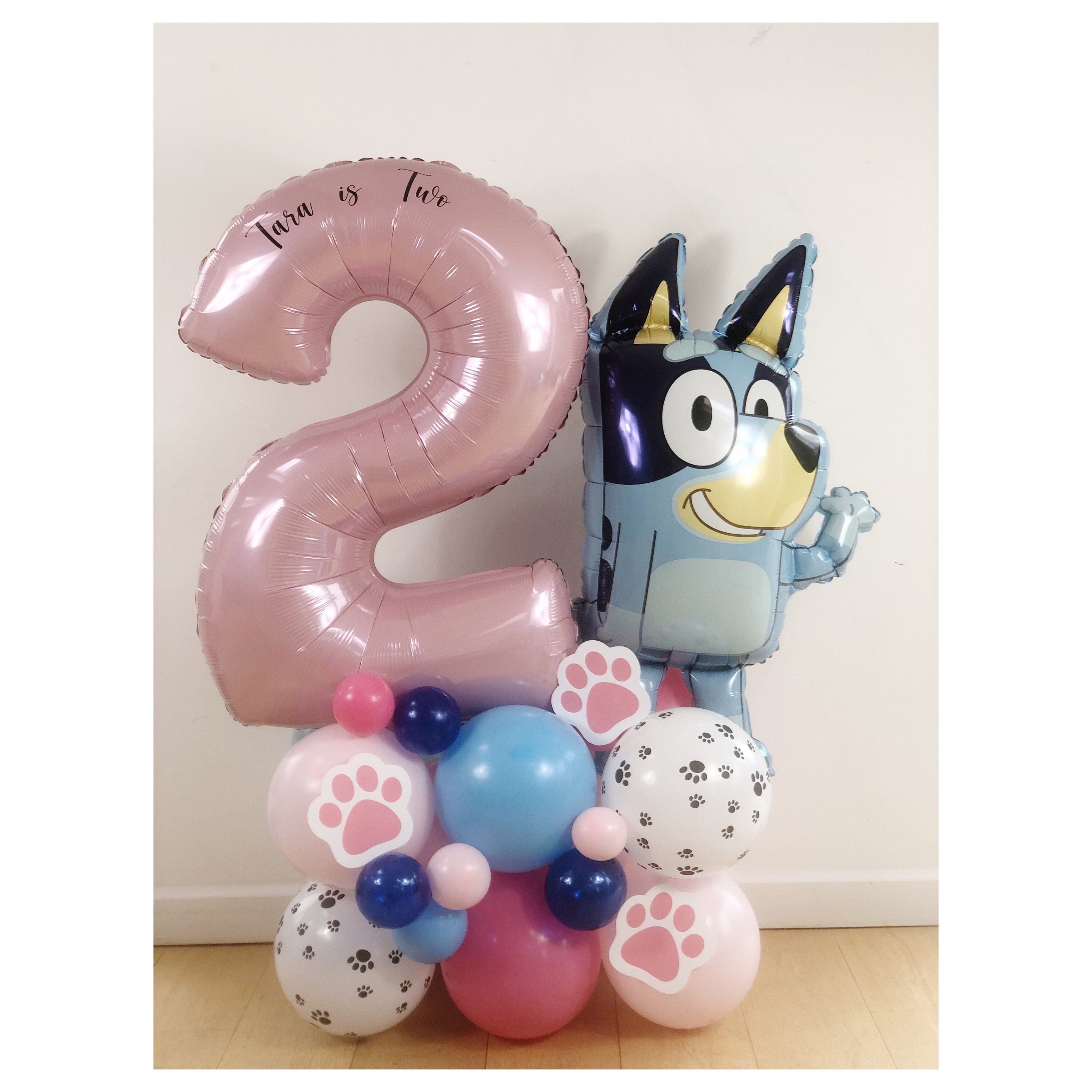 Bluey balloons store
